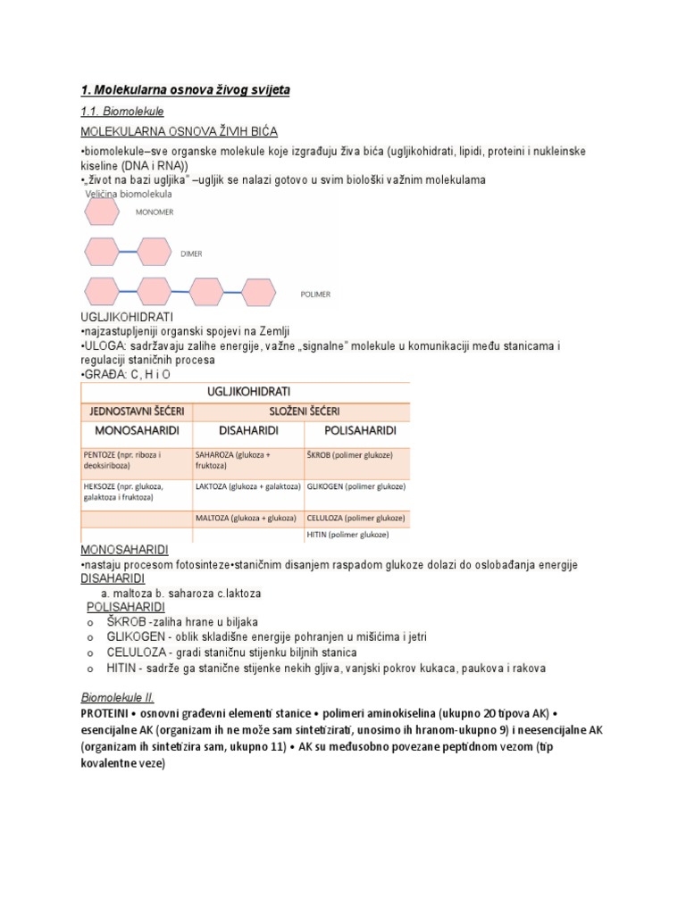 Molekularna Osnova Živog Svijeta-Skripta | PDF