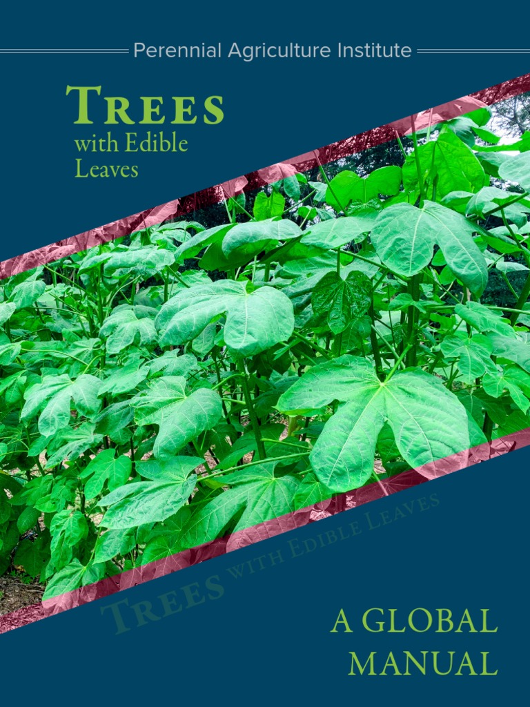 Trees With Edible Leaves | PDF | Carbon Sequestration | Vegetables