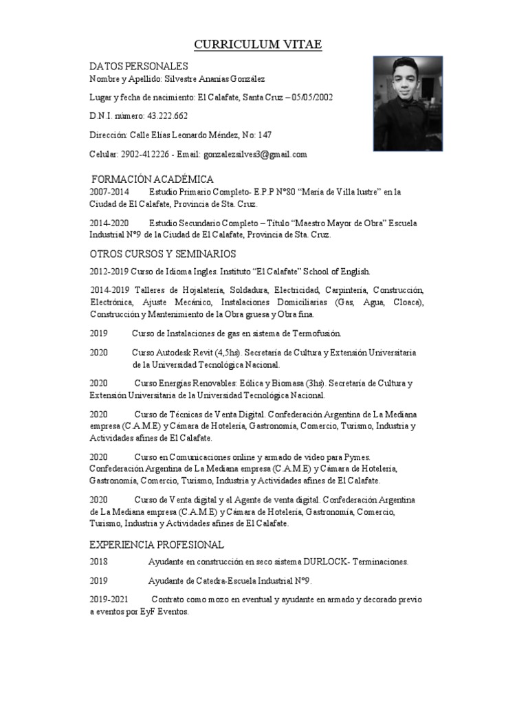 Curriculum Viate | PDF | Hotel | Software de la aplicacion