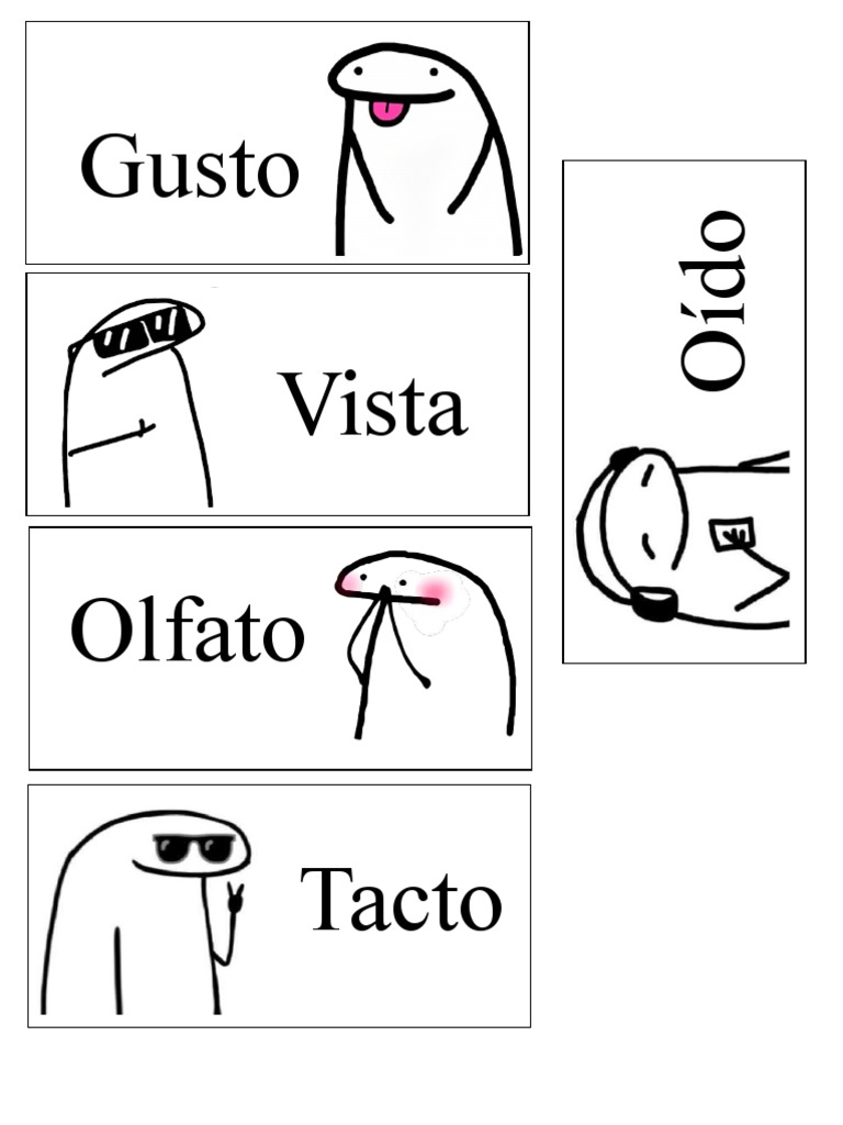 5 Sentidos de Flork | PDF