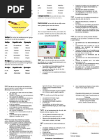 Palabras Terminadas en Ción, Sión, Xión y Cción | PDF | Artes del ...