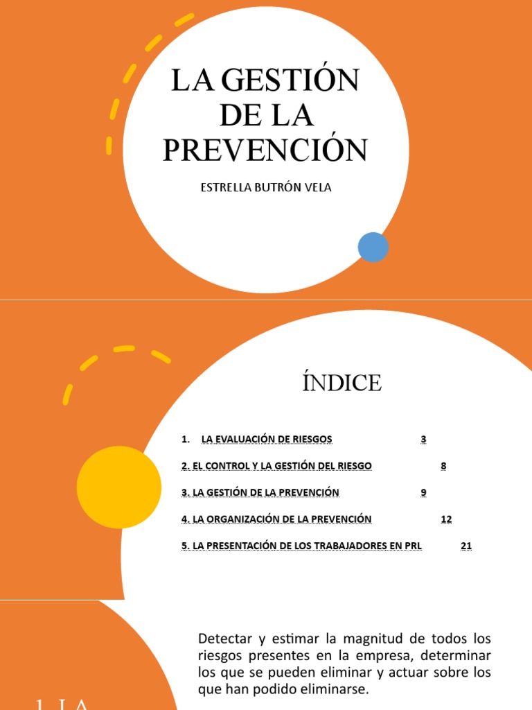 8.1 La Gestión de La Prevención Fol | PDF