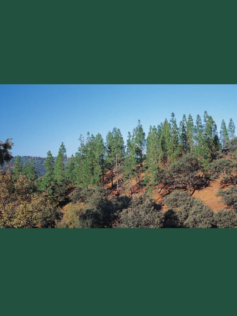 Cap04 BaseDatosIncendiosForestales | PDF