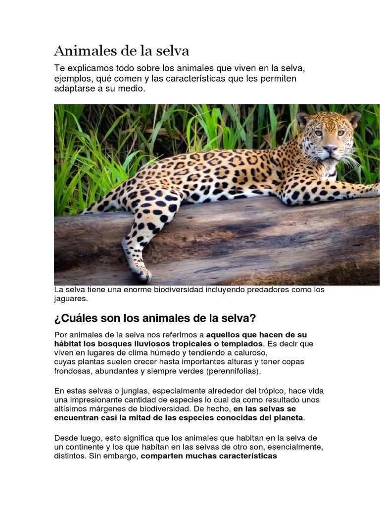 Animales de La Selva | Descargar gratis PDF | Selva | Zona tropical