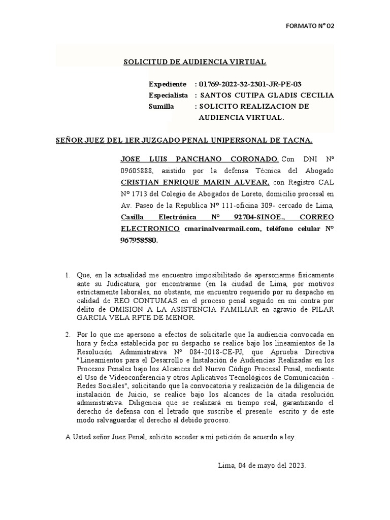 Solicitud de Audiencia Virtual | PDF