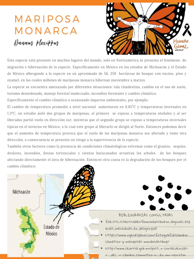 Mariposa Monarca | PDF