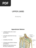 Label (Upper Limb Bone) | PDF | Musculoskeletal System | Human Anatomy