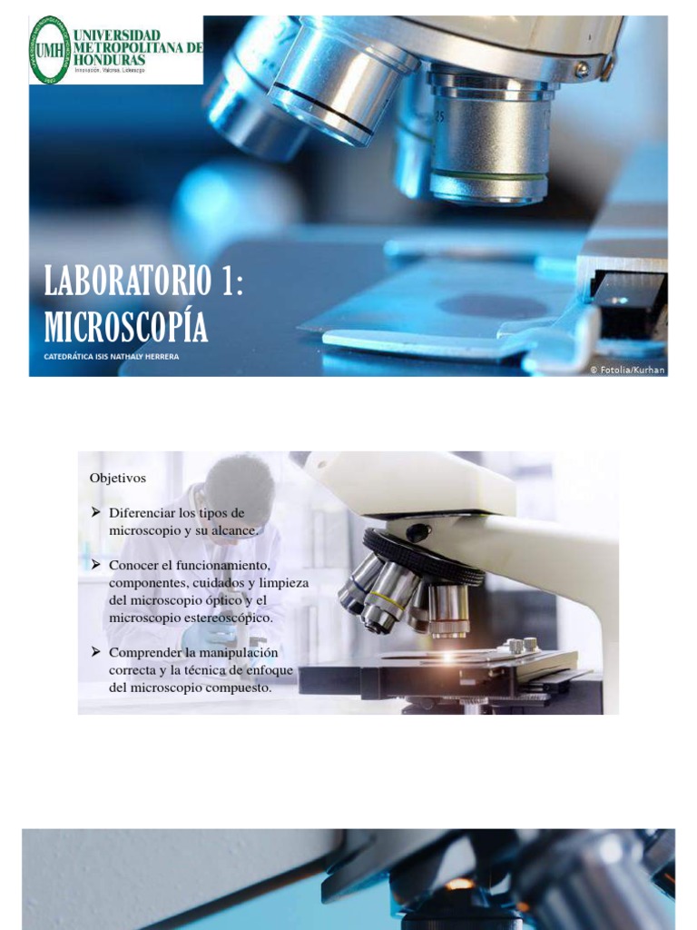 Práctica 1 - Microscopía-Comprimido | PDF | Microscopio | Equipo