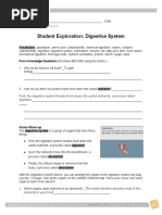 Digestive System GIZMO | PDF | Digestion | Small Intestine