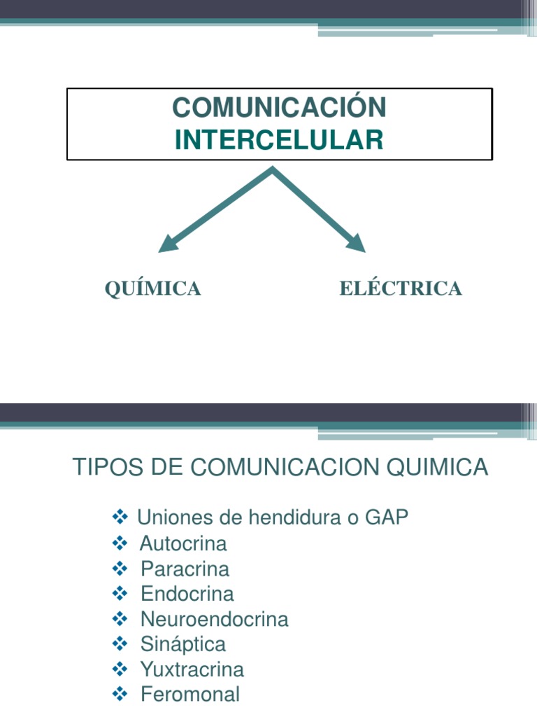 Comunicacion Intercelular y Transporte en Membranas | PDF | Receptor ...