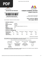Formato Alta Vehicular | PDF | Gobierno | Business