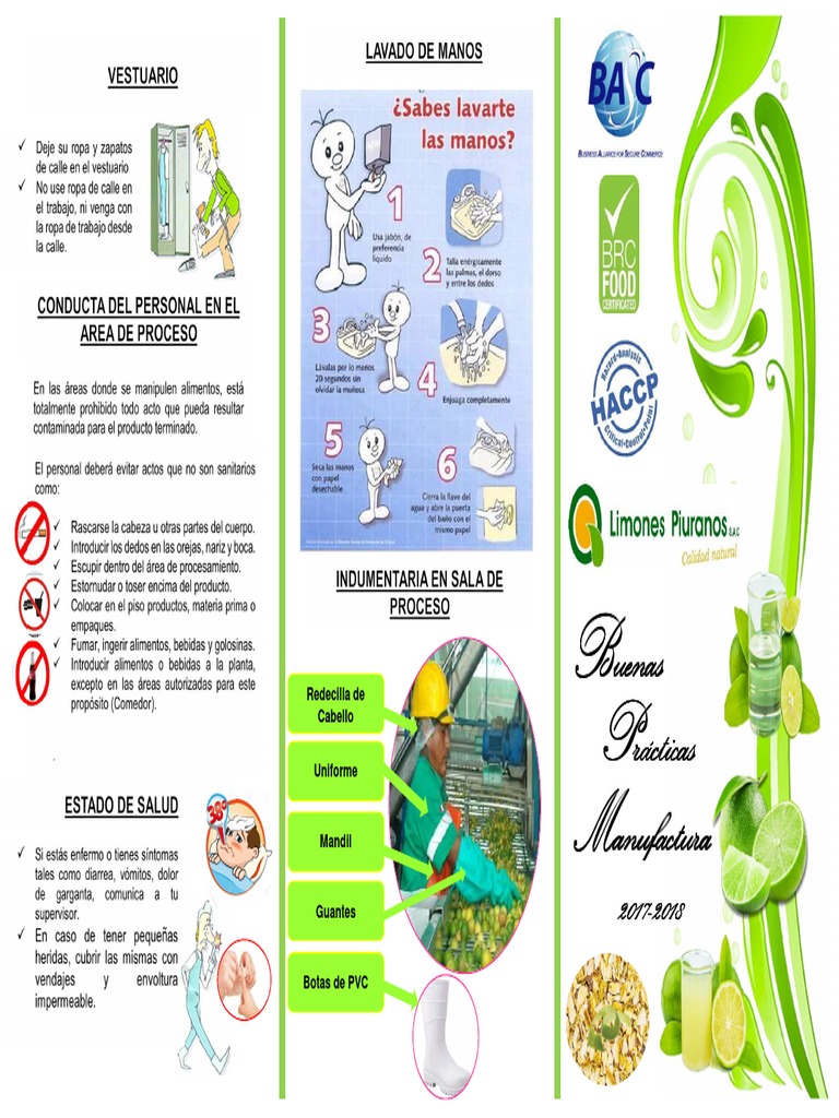 Triptico BPM | PDF | Productos cosméticos | Alimentos