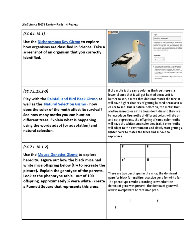 Life Science NGSS Review Parts 1 and 2 | PDF | Natural Selection ...