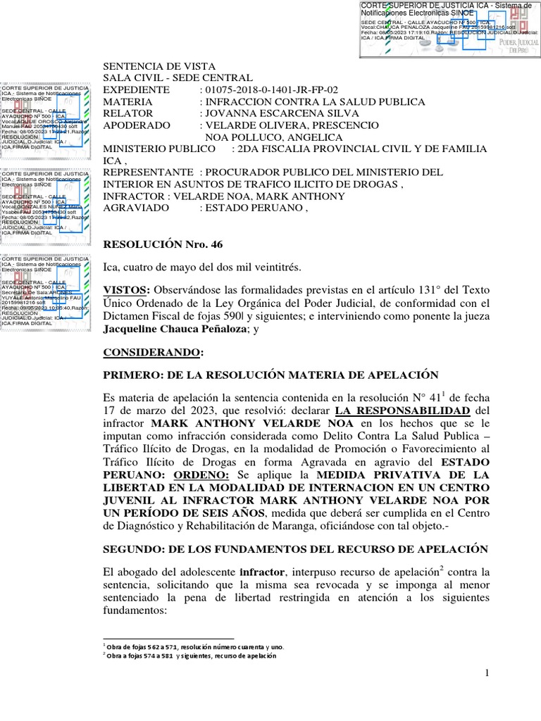 Exp. N°01075-2018 - Apelación - Adolescente Infractor | PDF | Derecho ...