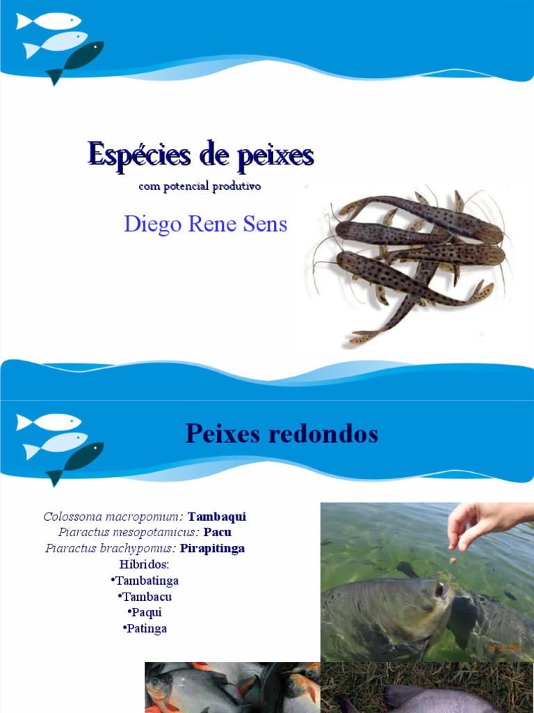 3 - Especies de Peixes Out16 | PDF