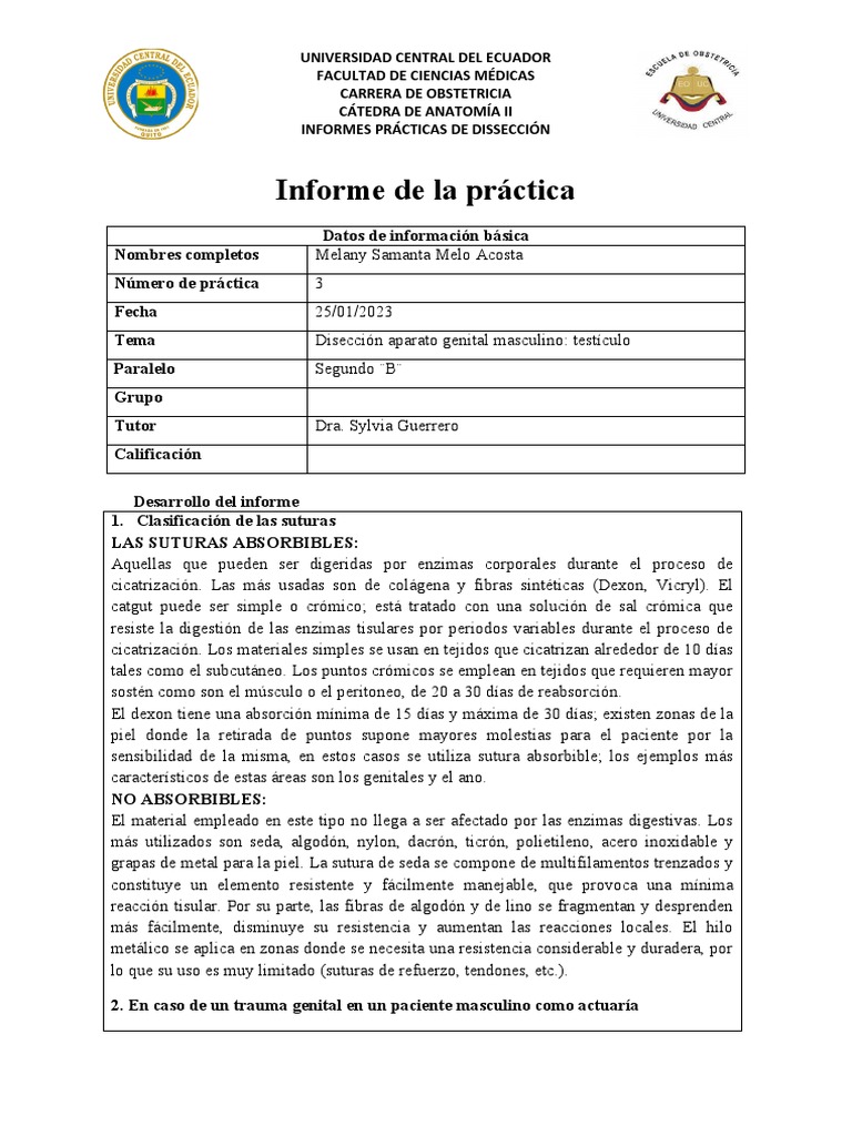 Informe de Corazón Anatomía | PDF