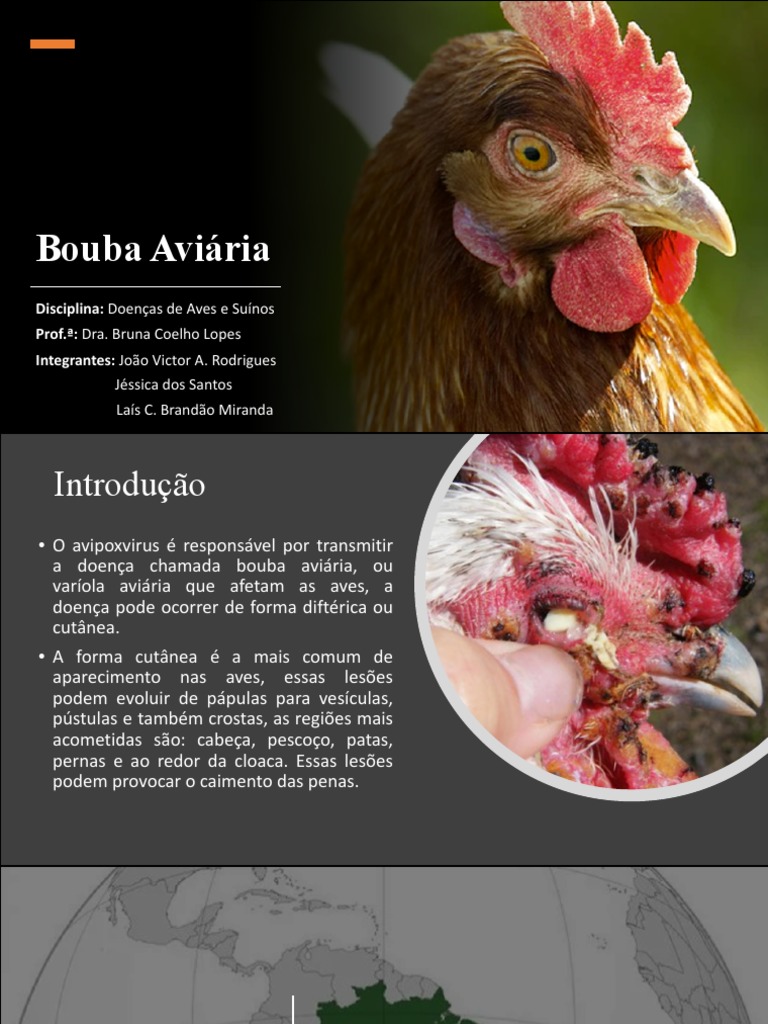 Bouba Aviaria | PDF | Vírus | Imunologia
