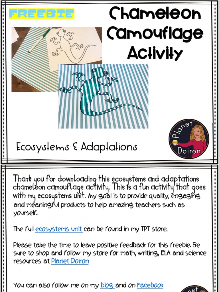 Chameleon Camouflage Activity Guide | PDF | Home & Garden