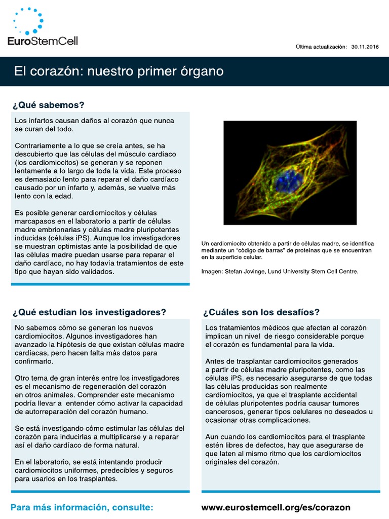 Factsheet ES Heart | PDF Factsheet ES Heart | PDF