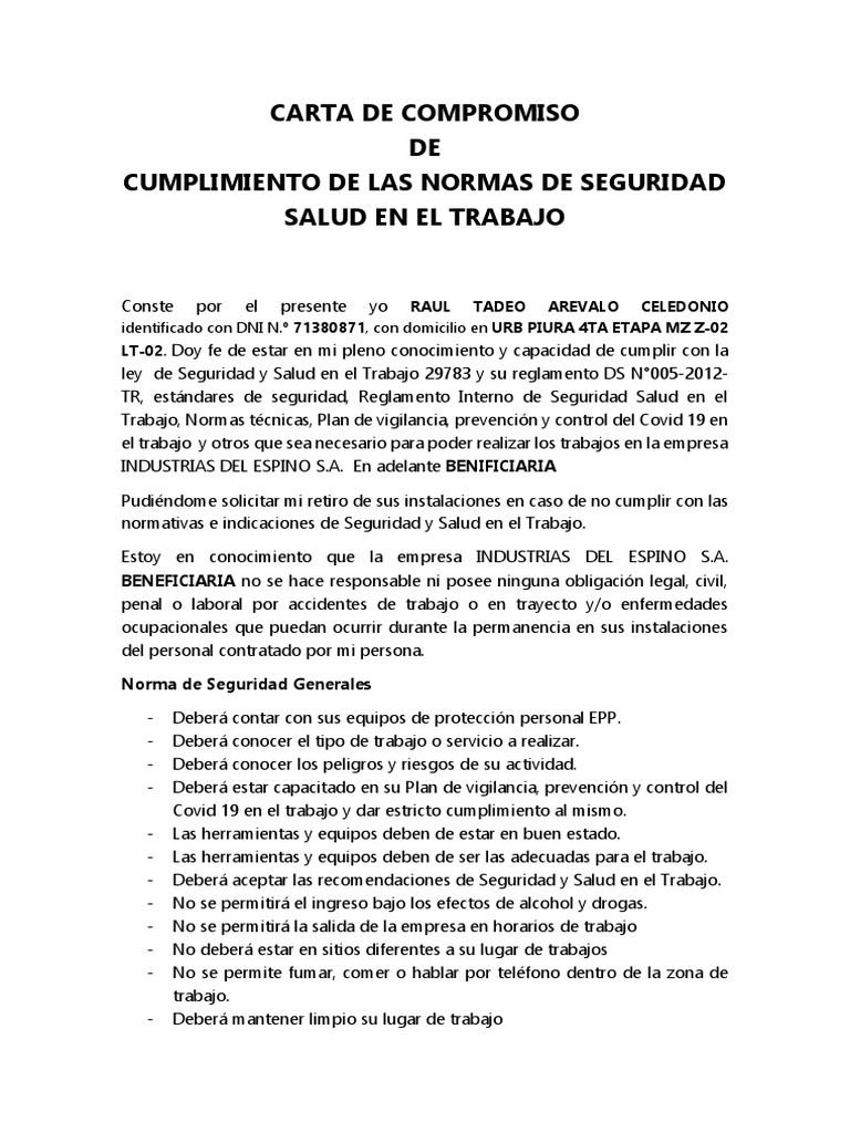 Carta de Compromiso de Cumplimiento de Las Normas - RAUL AREVALO | PDF ...
