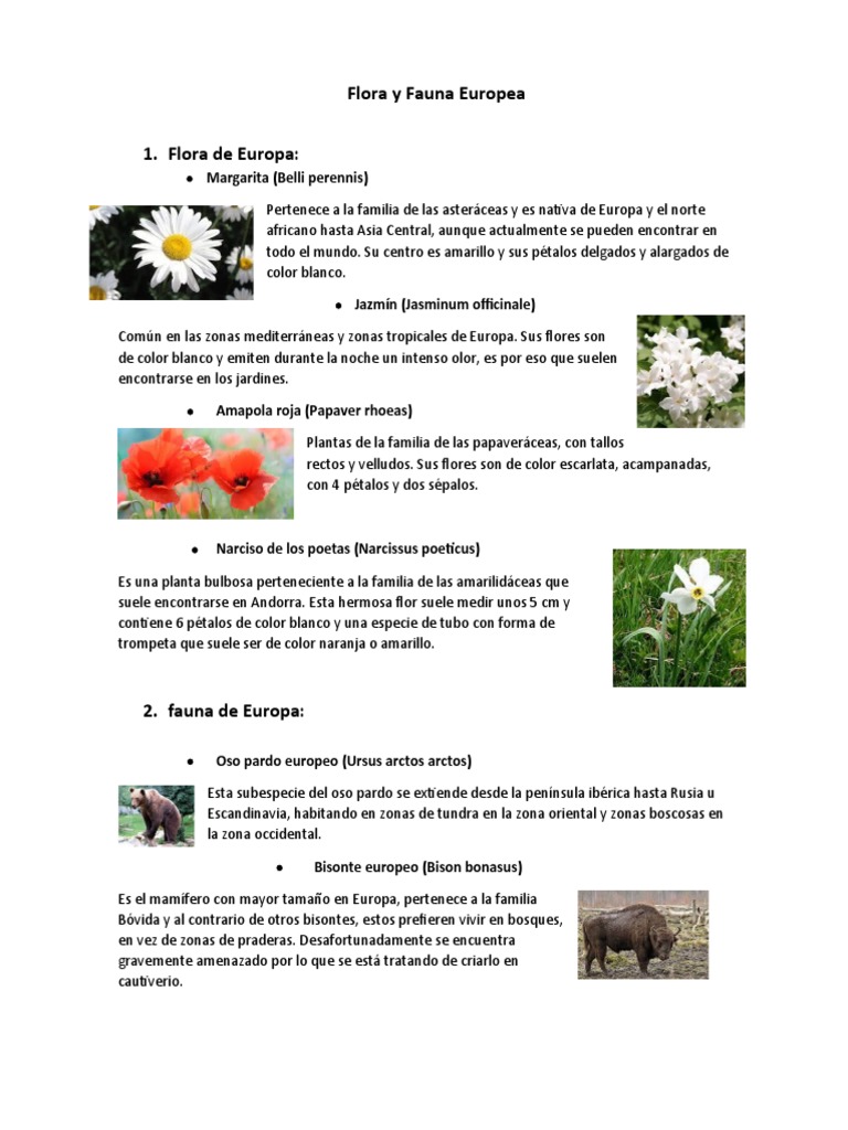 Flora y Fauna de Europa | PDF | Hipopótamo | Tigre
