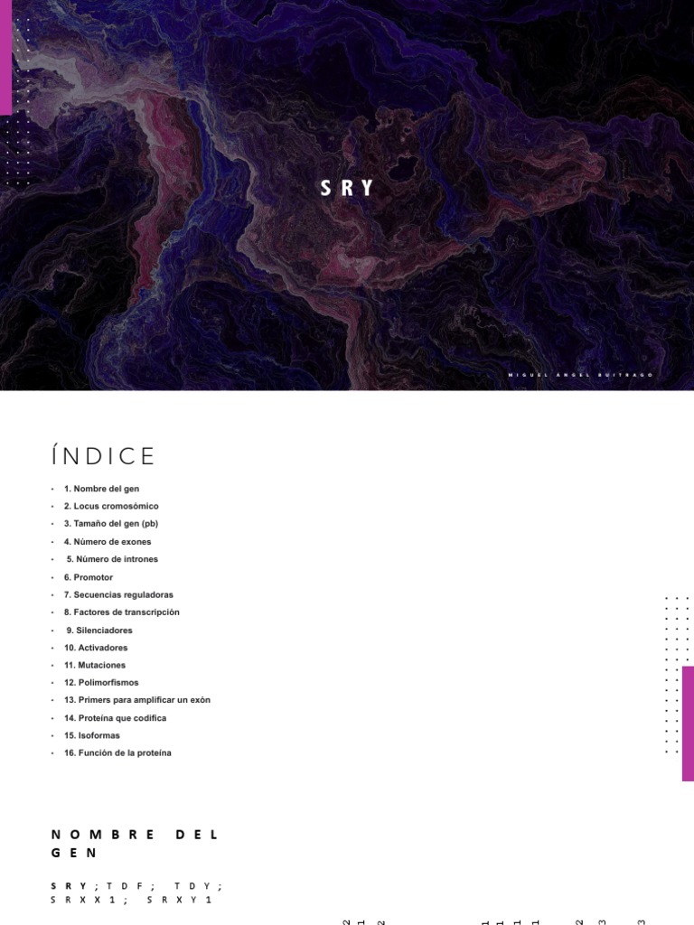 Sry Gen | PDF | Gene | Procesos celulares