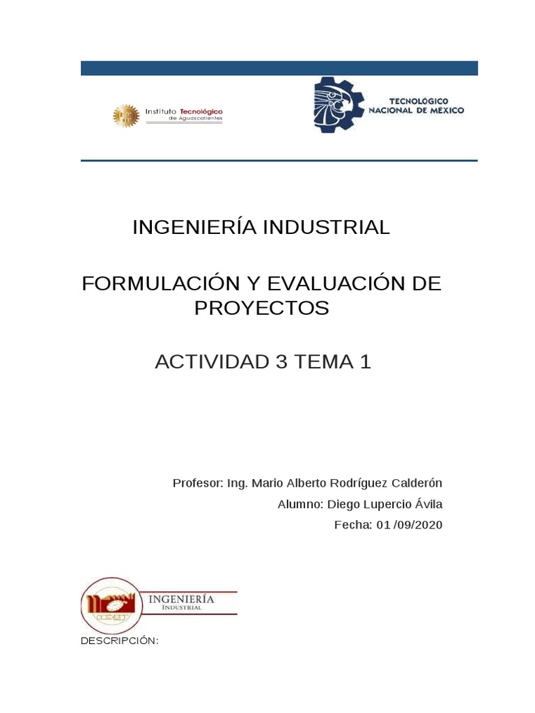 FORMULACIÓN - EVALUACIÓN - ACT3 - TEMA1 - LUPERCIO - AVILA - DIEGO (PDF - Io) | PDF
