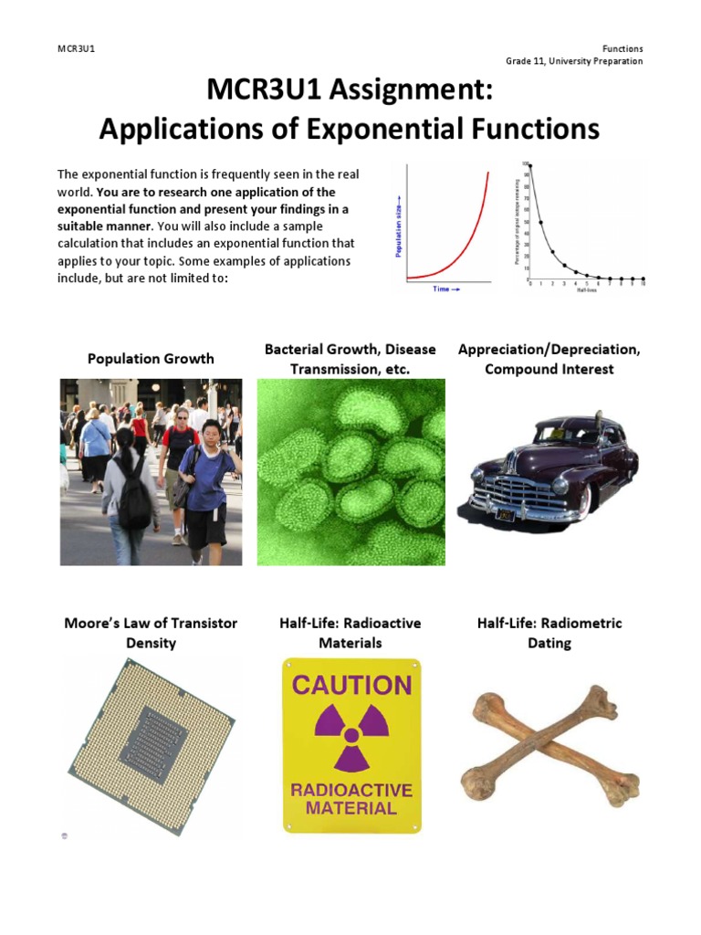 Exponential Function Assignment | PDF | Career & Growth