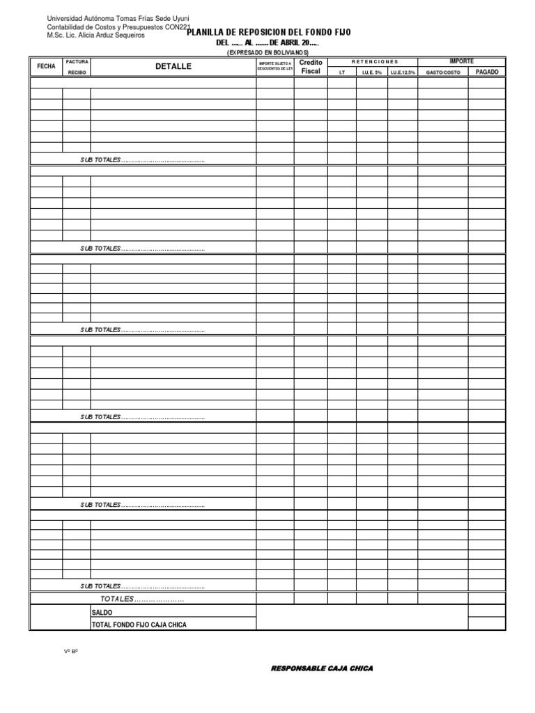 Formato de Reposicion | PDF