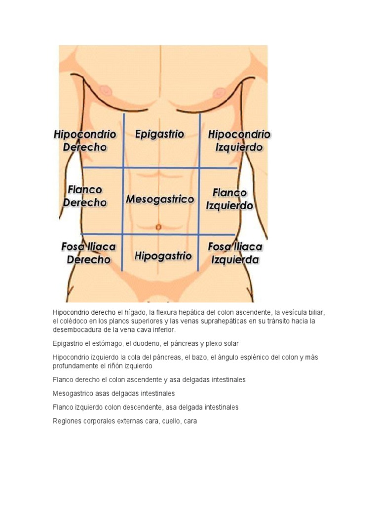 Cuadrantes Abdominales | PDF | Ciencias sociales