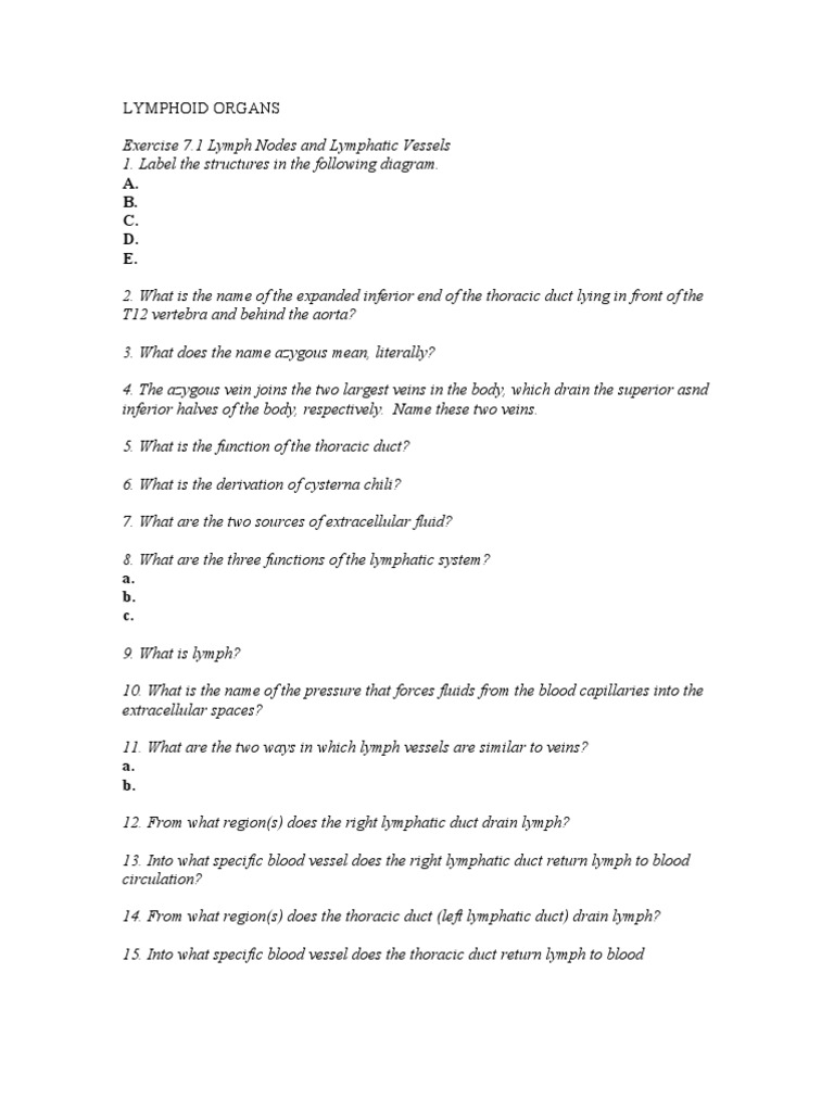 AIA Lymphatics Template | PDF | Lymphatic System | Primate Anatomy