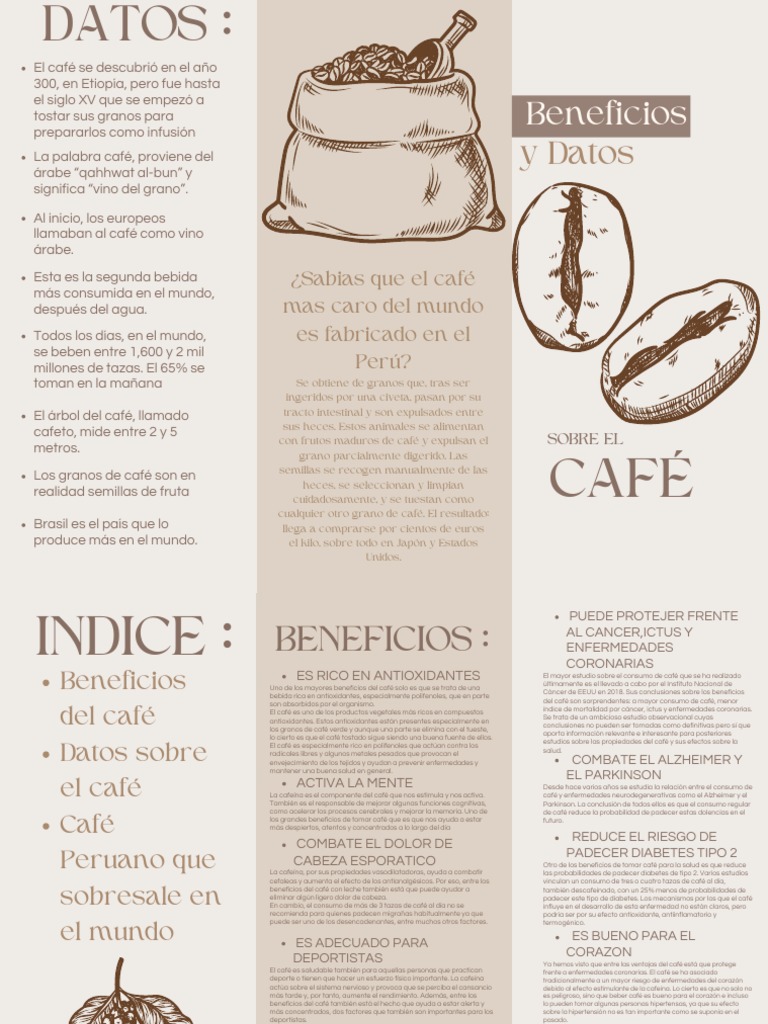 Triptico sobre el cafe | PDF