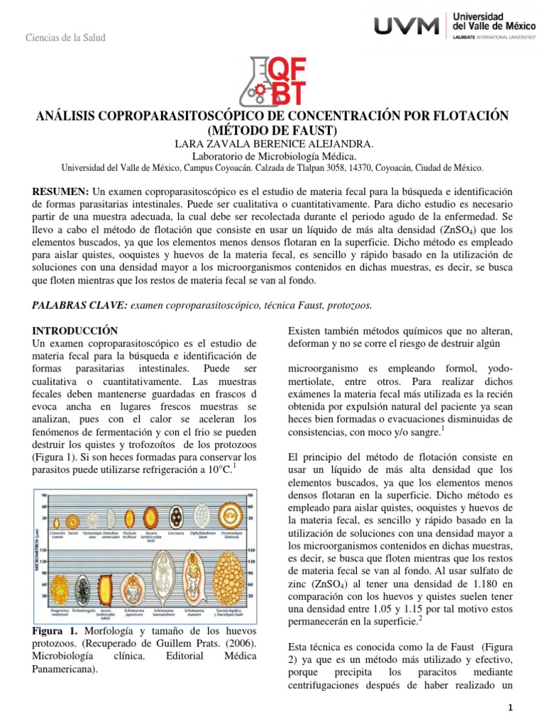 Método de Faust - Micro Med | PDF | Heces | Alimentos