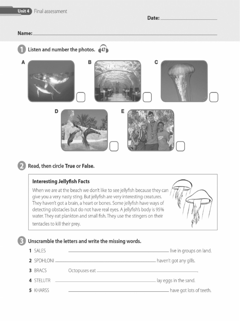 Unit 4 Final Assessment | PDF