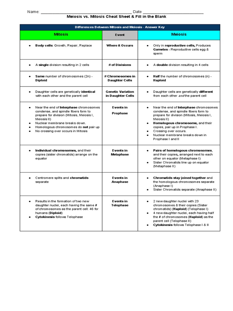 7ll Meiosis Summary Cheat Sheet 2018 Public Download Free Pdf