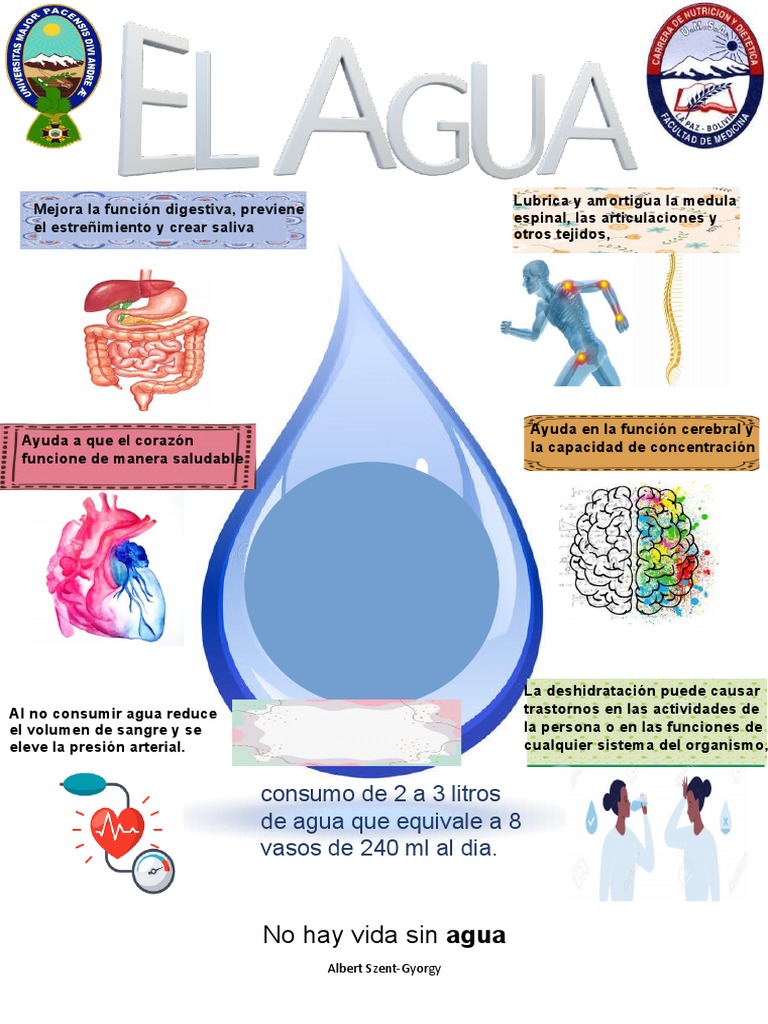 Afiche El Agua | PDF