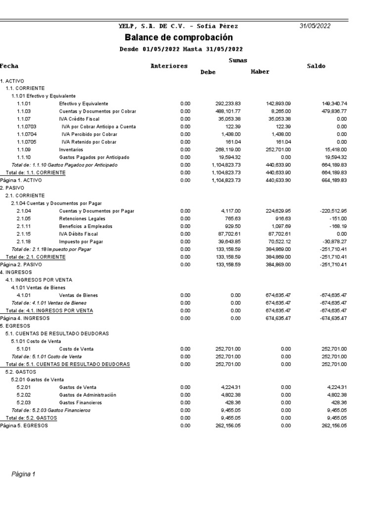 Balance Mes de Mayo Sofía | PDF | Impuesto al valor agregado | Finanzas ...