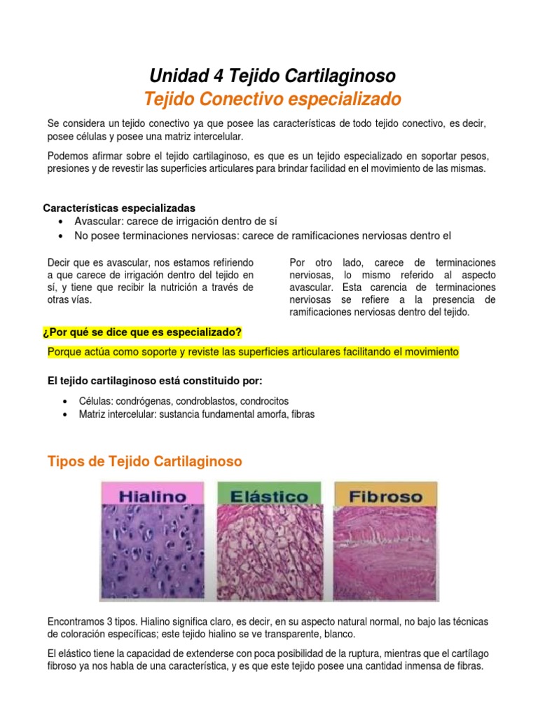Resumen Tejido Cartilaginoso | PDF