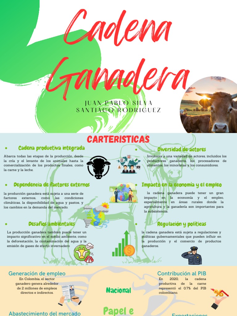 Cadena Ganadera en Colombia: Impacto y Actores | PDF | Colombia | Carne