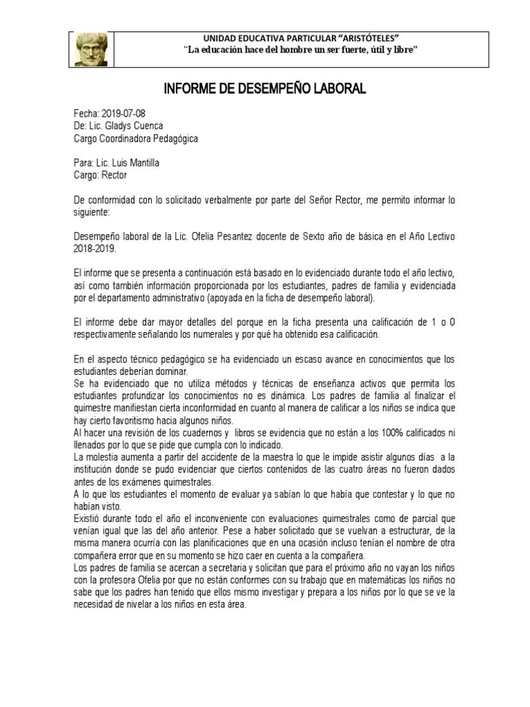 Informe de Desempeño Laboral 2018-2019 | PDF