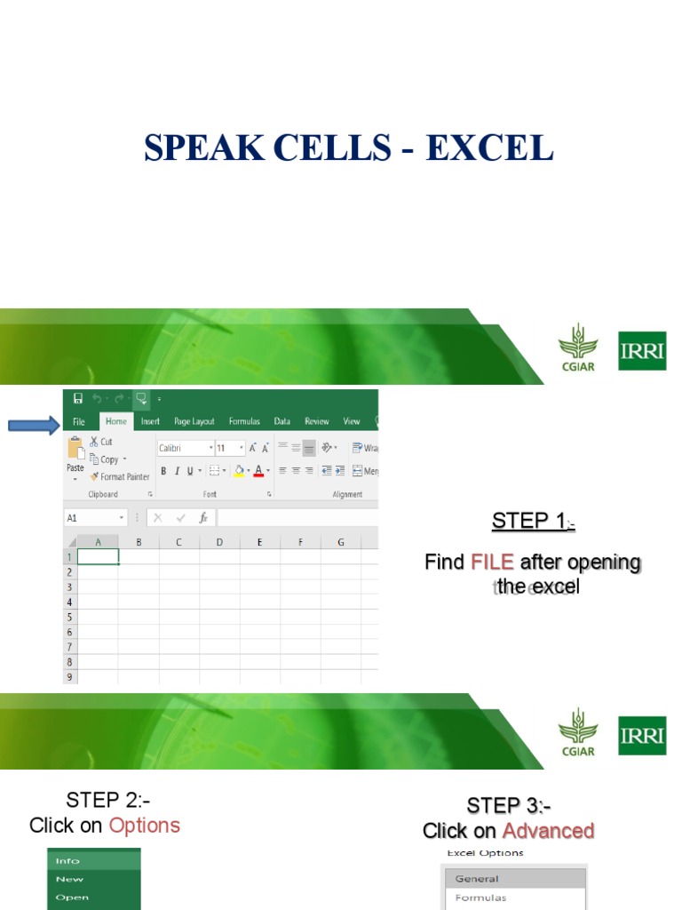 Excel Cells PDF