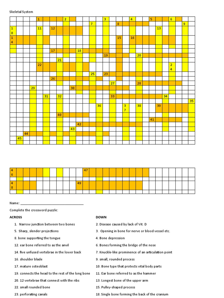 Crossword Puzzle Skeletal System | PDF