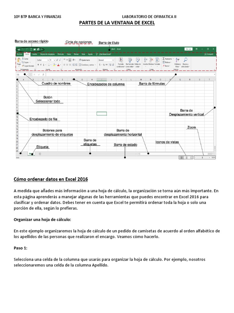 Partes de La Ventana de Excel, Ordenar y Filtrar Datos | PDF | Hoja de ...