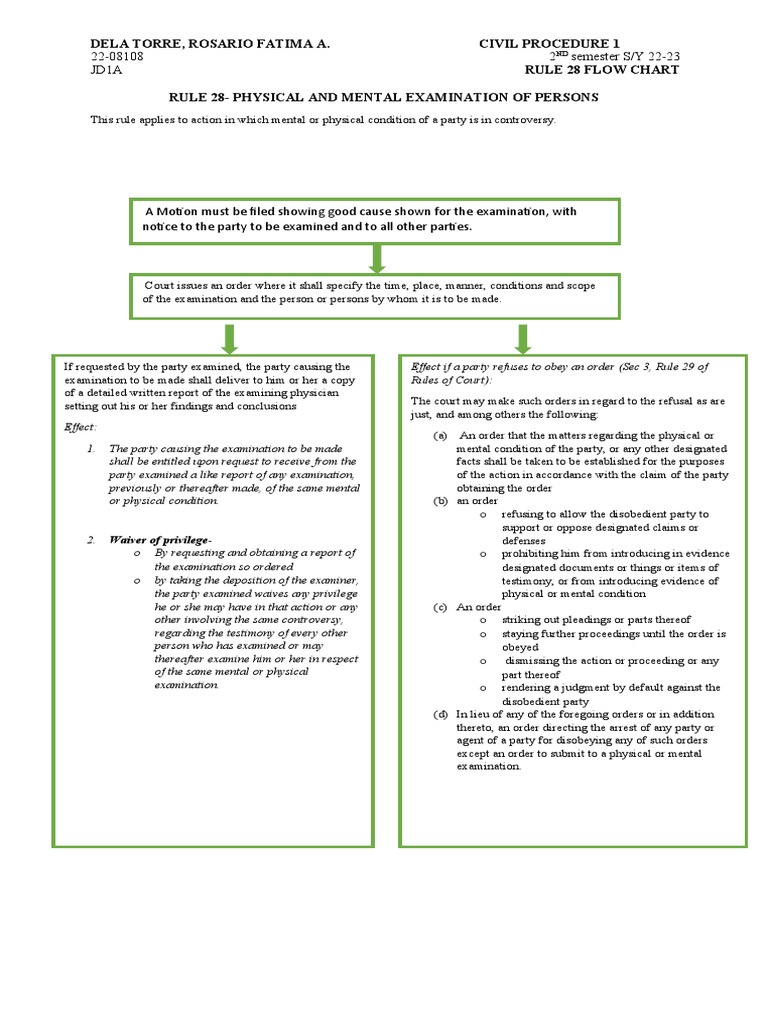 Rule 28-Flowchart | PDF | Government Institutions | Civil Law (Common Law)