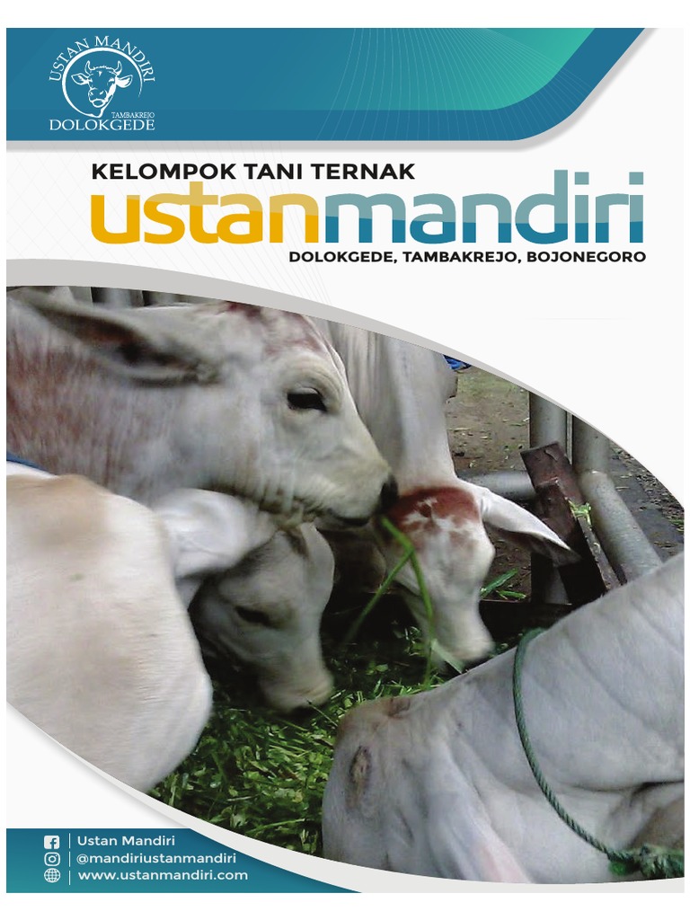Profil Ustan Mandiri - Full - PDD | PDF