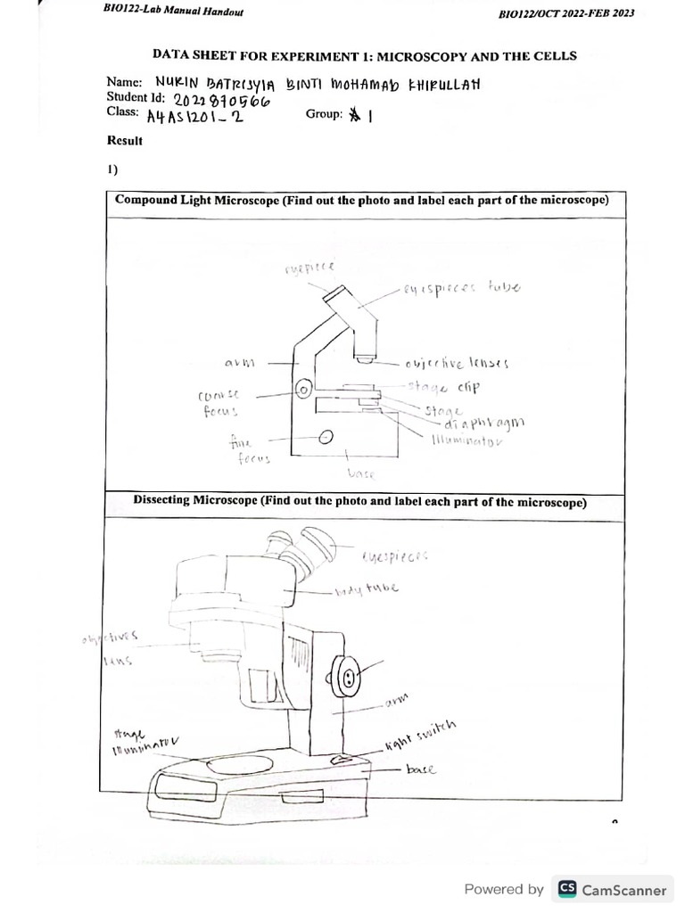 Data Sheet Experiment 1 | PDF
