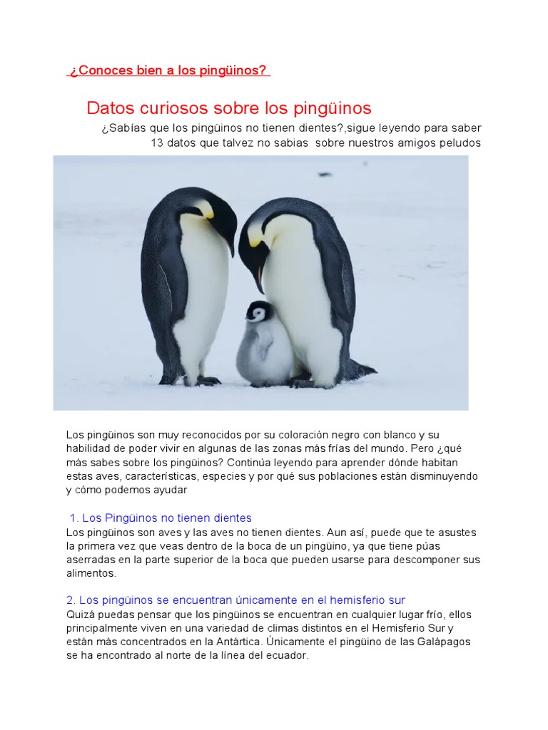 ¿Conoces Bien A Los Pingüinos | PDF | Pingüino | Aves