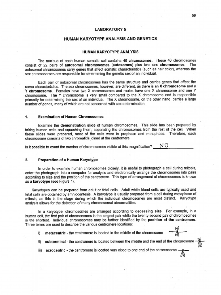 Lab 5 Answer Key | PDF