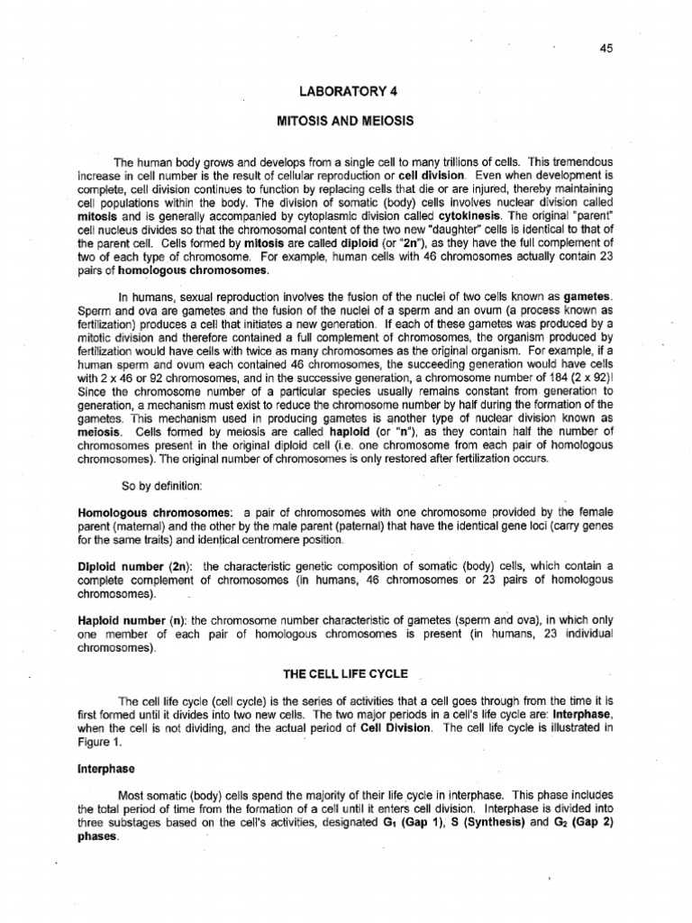 Lab 4 Answer Key | PDF