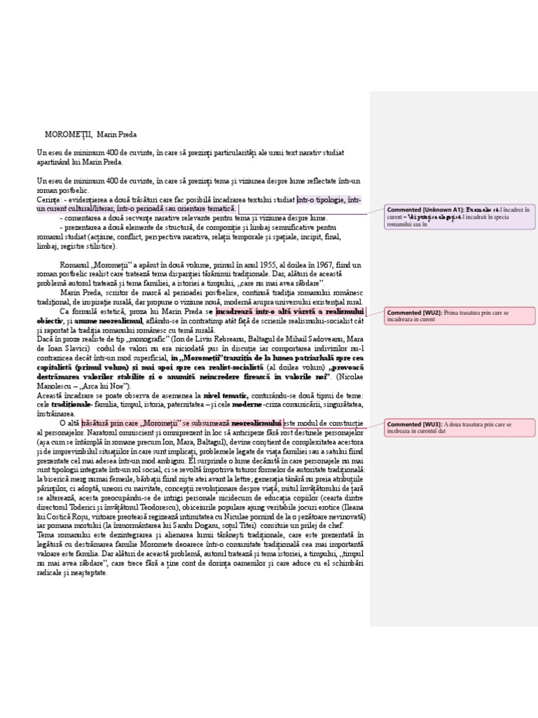 Morometii Tema Si Viziune 2019 Compress | PDF